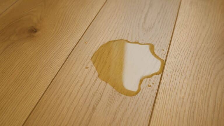 Odeur d'urine de chat sur parquet : comment s'en débarrasser